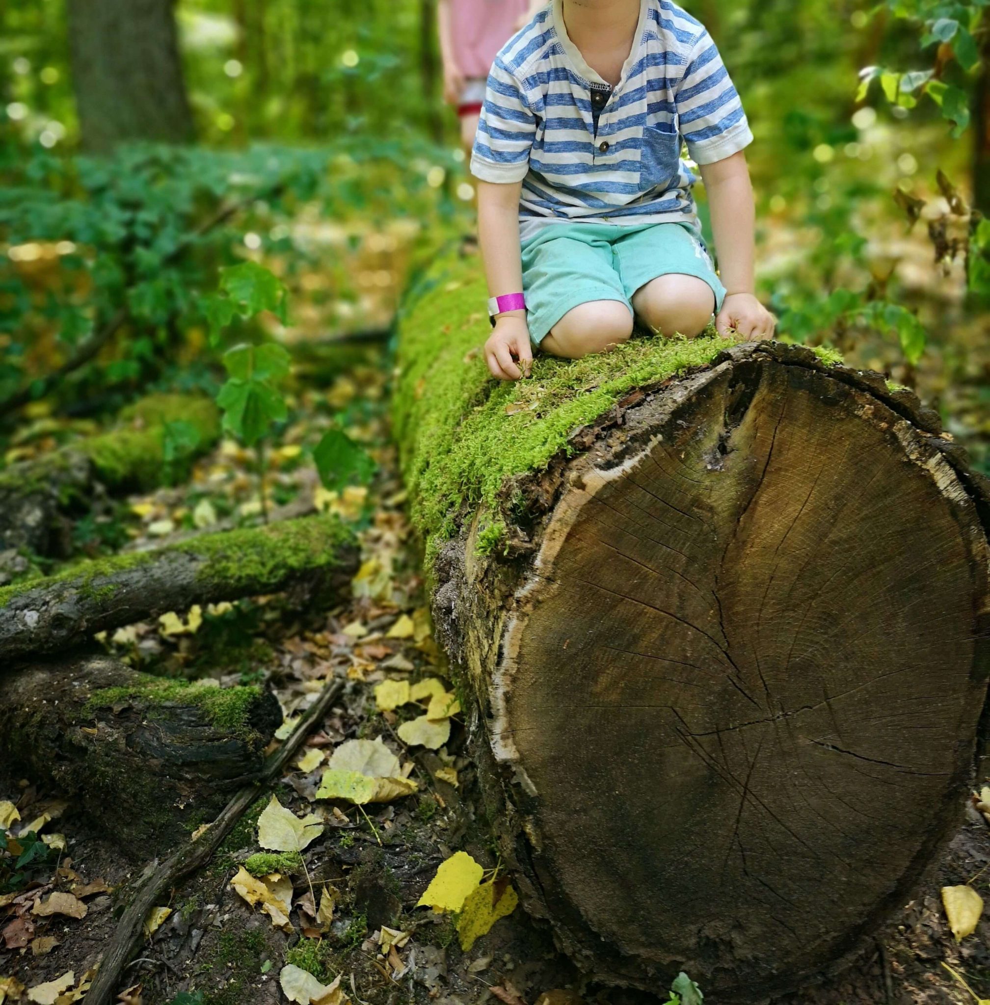 bioversum Jagdschloss Kranichstein – Frankfurt mit Kids