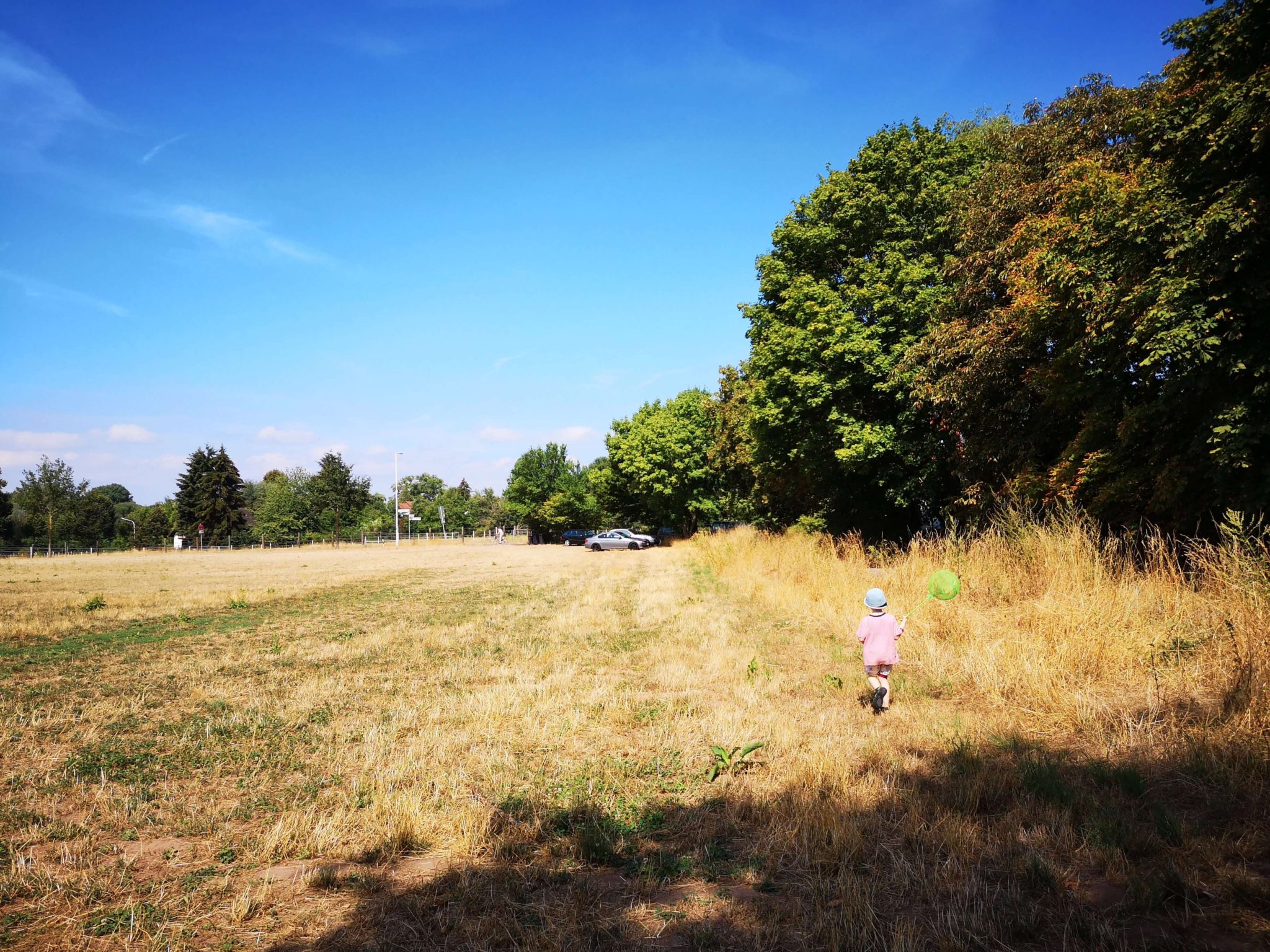 bioversum Jagdschloss Kranichstein – Frankfurt mit Kids