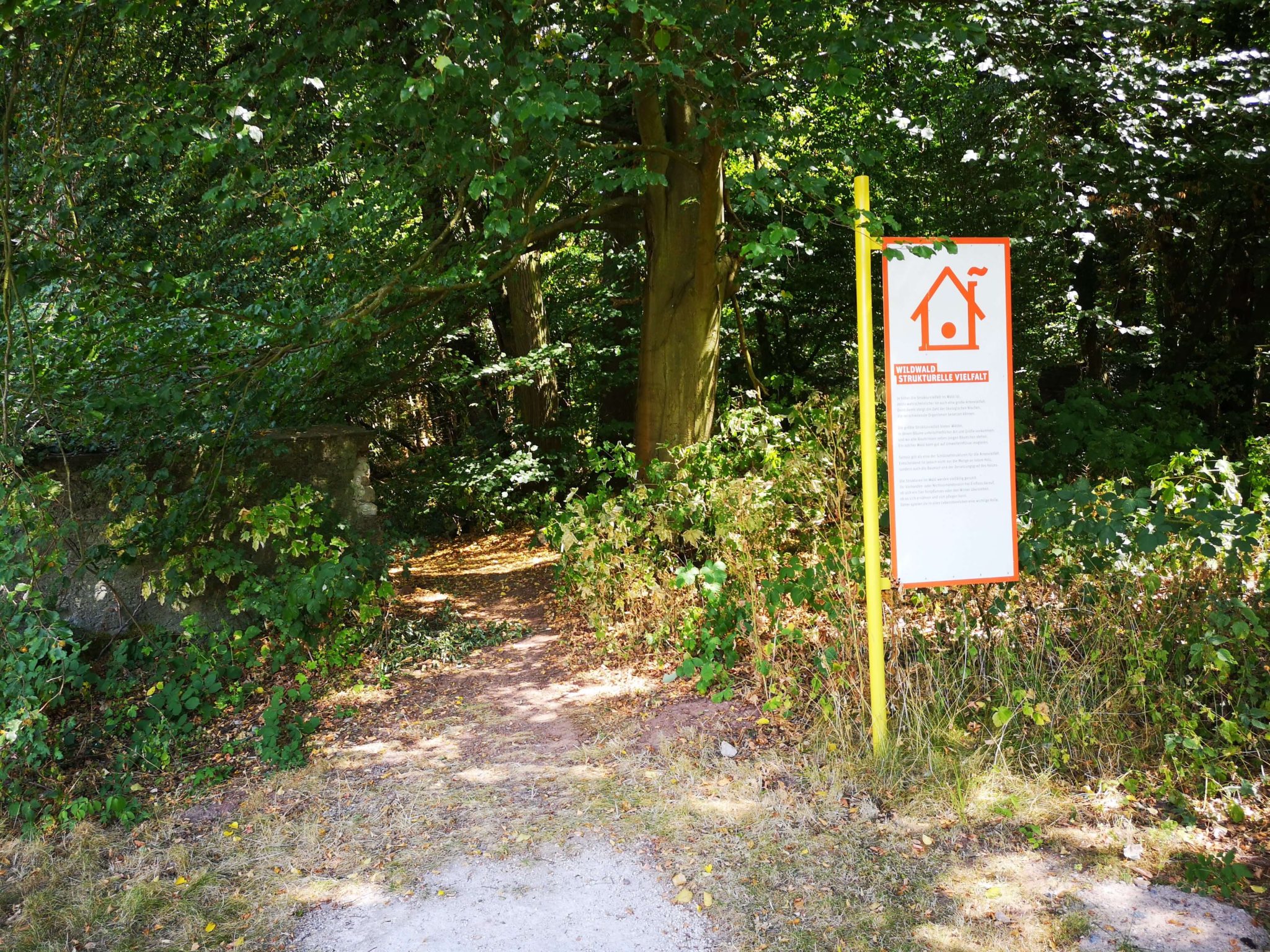 bioversum Jagdschloss Kranichstein – Frankfurt mit Kids