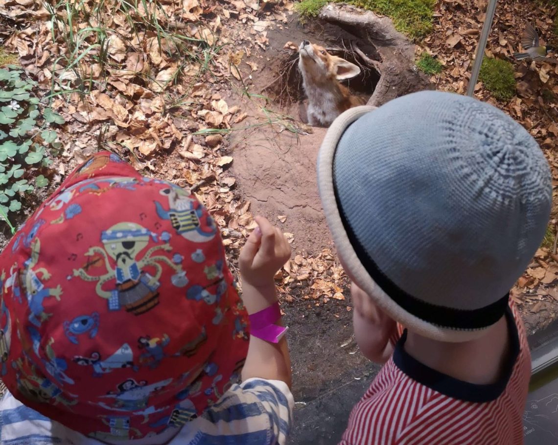 bioversum Jagdschloss Kranichstein – Frankfurt mit Kids