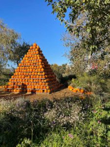 Bauer Lipp in Weiterstadt: Kürbisausstellung – Frankfurt mit Kids
